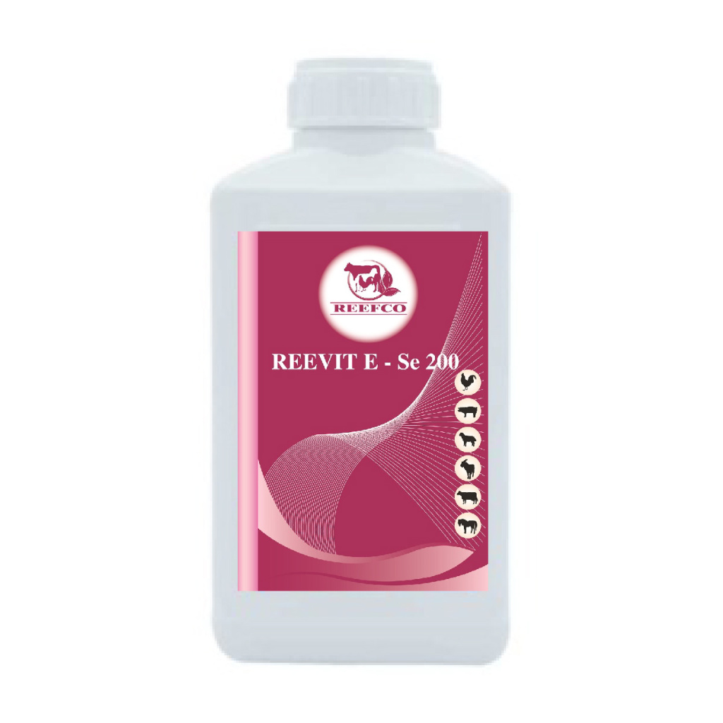 REEVIT E-Se 200 Liquid – Al Reef