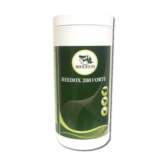 REEDOX 200 FORTE Powder – Al Reef