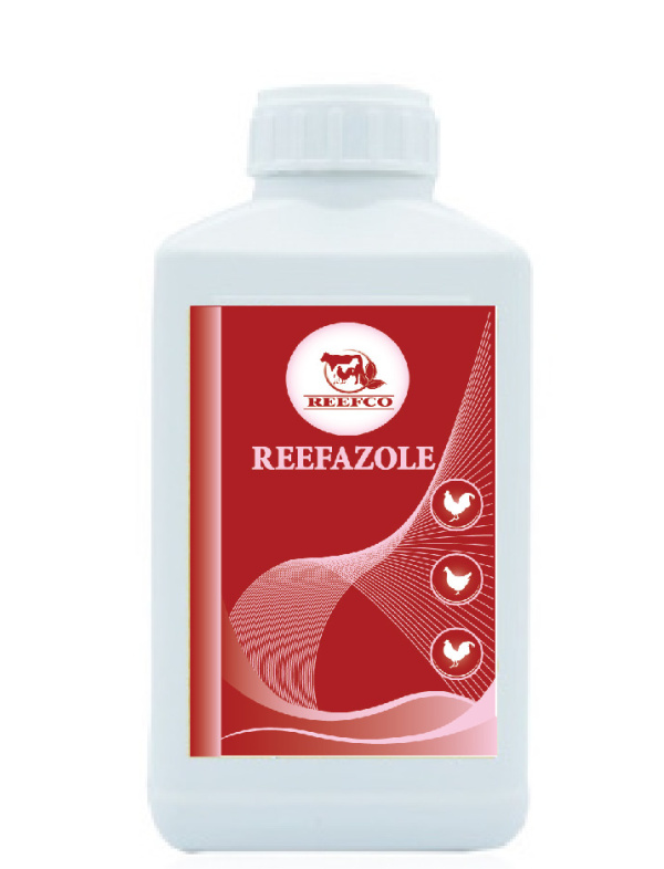 REEFAZOLE Suspension – Al Reef